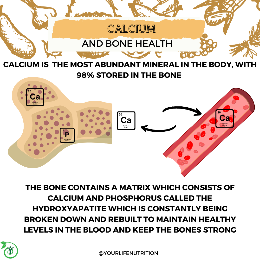 Mineral Me: Calcium - Your Life Nutrition