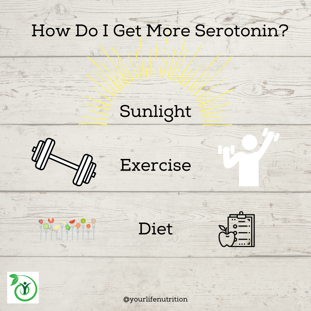 The Gut-Brain Axis: Serotonin - Your Life Nutrition